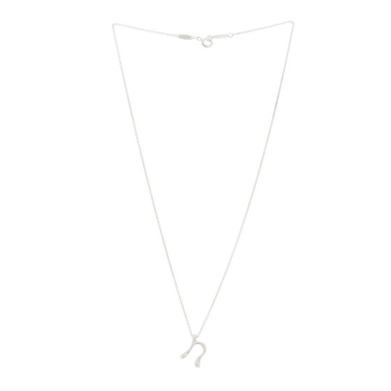 Tiffany n necklace store